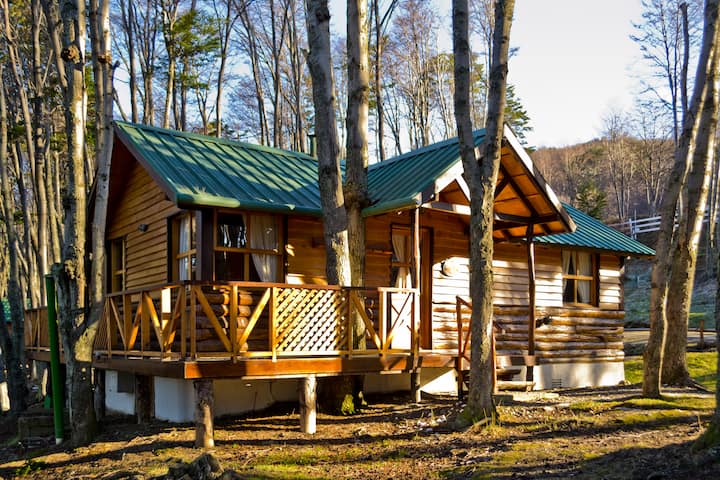 Bungalow In The Forest 2 Bedroom - Ushuaïa