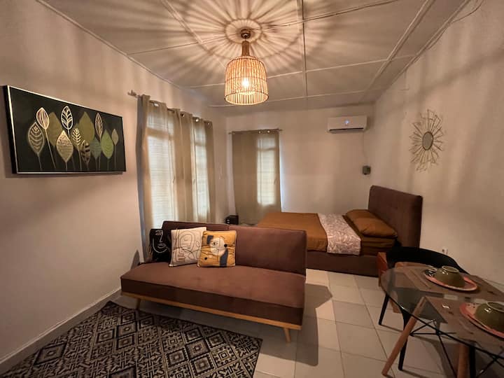 Newly Renovated Studio Apartment ! - Kinshasa