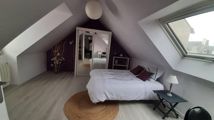 Chambre Et Séjour Centre-ville - Le Mans