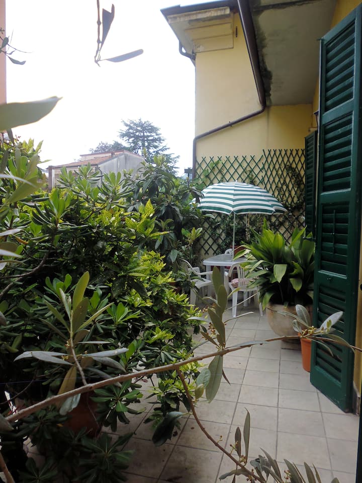 Il Platano Appartamento Storico Con Terrazzo - Como