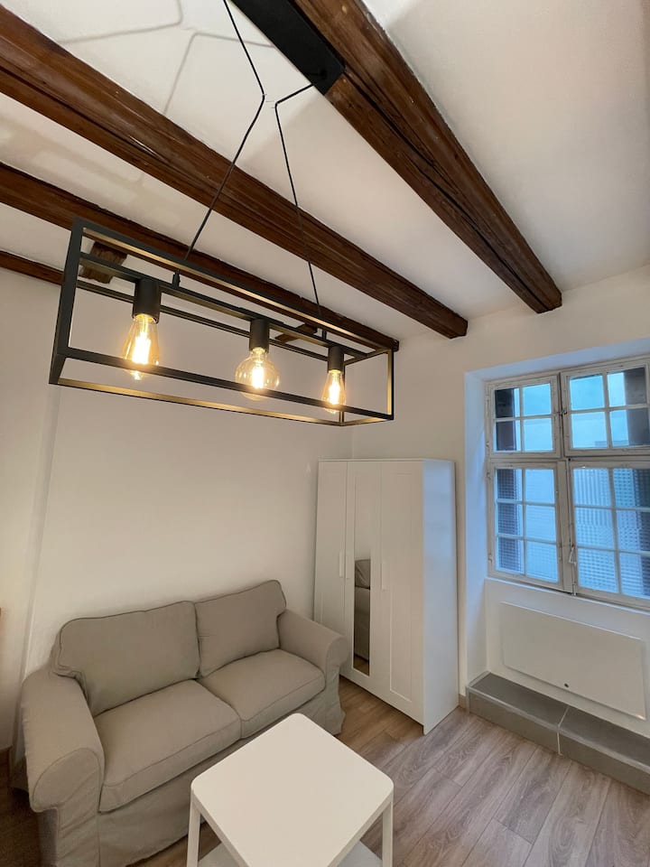 Magnifique Appartement Au Cœur De Ville - Strasbourg