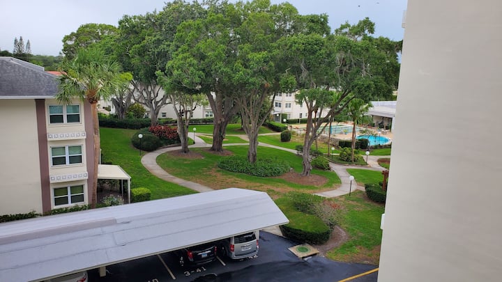 Beautiful 1/1 Condo 10 Minutesfrom Clearwater Beac - Clearwater, FL