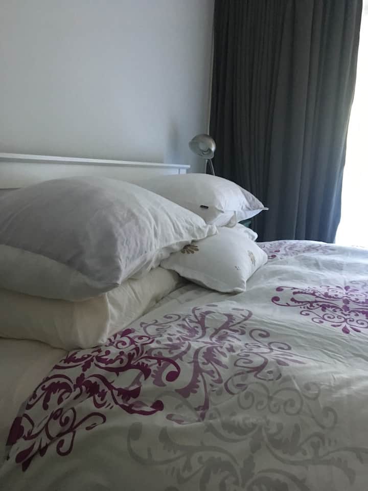 Kaiwharawhara Comfort Stay - Wellington