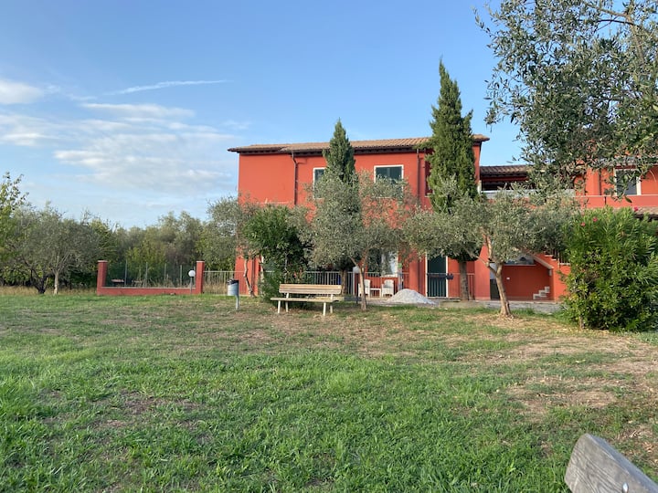 Lulù Holiday Home - Marina di Massa