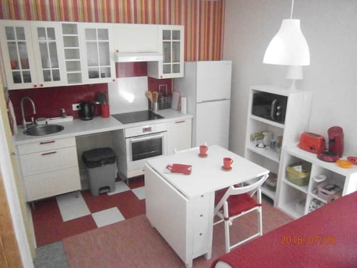 T2 Cosy Lumineux/près Centre Ville/airbus/aéroport - Blagnac