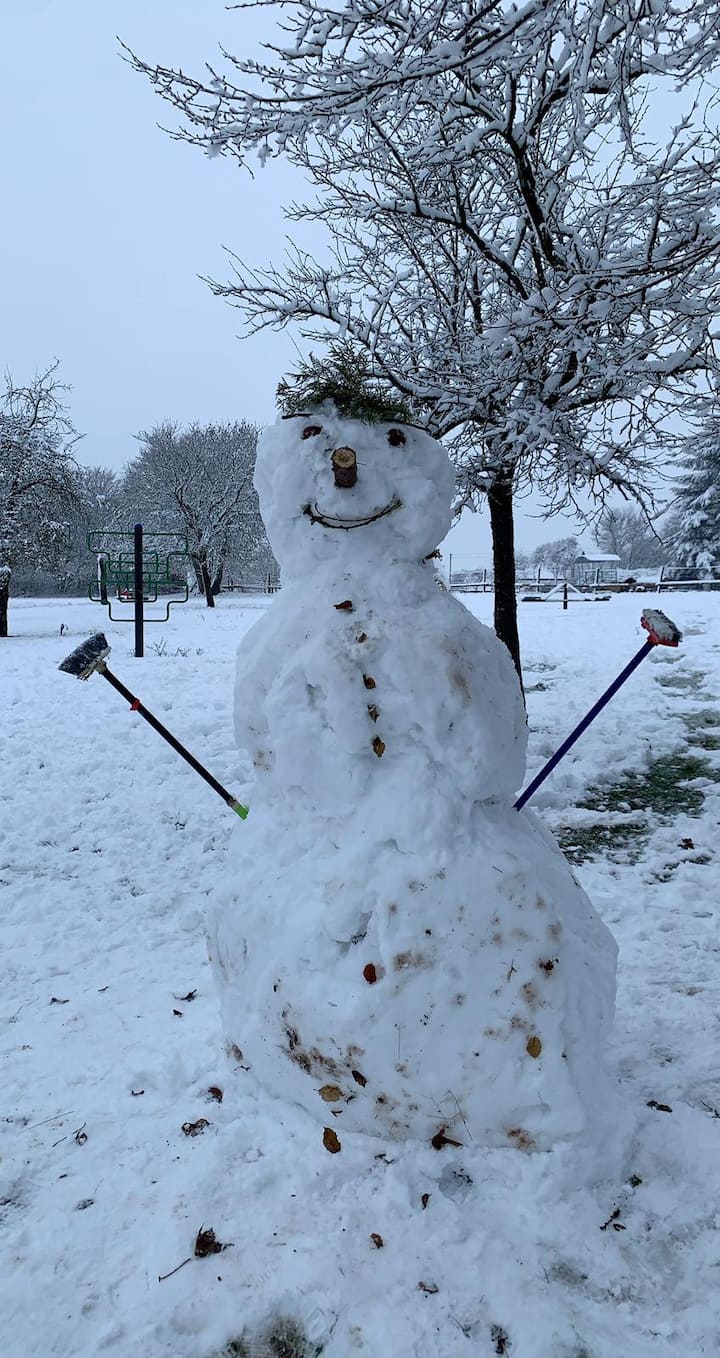 Big Childfriendly Holidayhome In The Eifel(28pers) - Saint-Vith