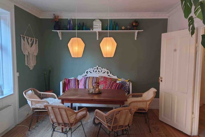 Spacious Flat, Prime Location - Copenhague