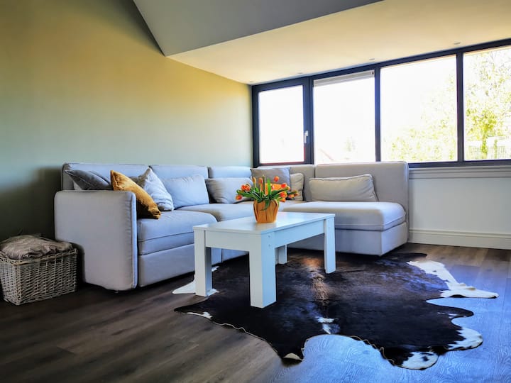 Comfortable Loft Near Historic City Center - Delft