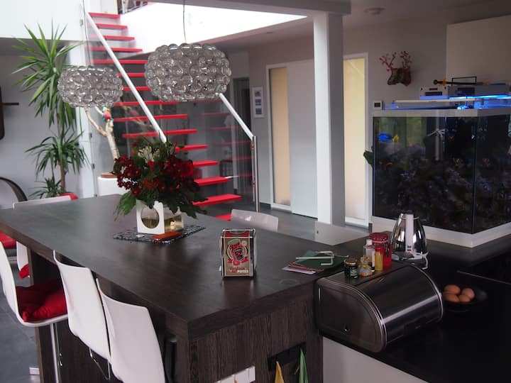 Chambre Dans Un éCrin De Verdure En Centre Ville - Lisieux