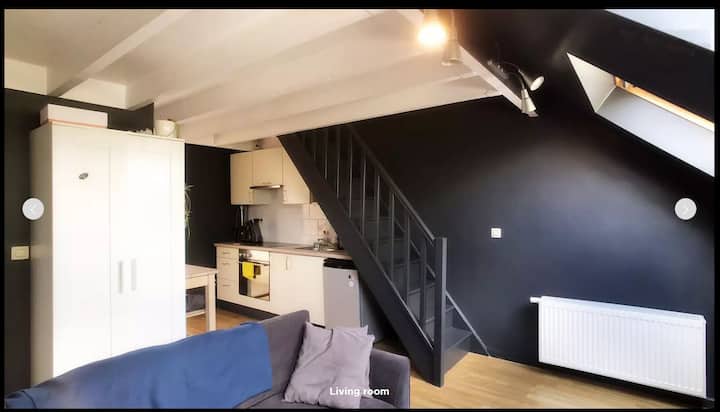 Duplex Avec Vue Sur Jardin Botanique 42 - Bruxelles