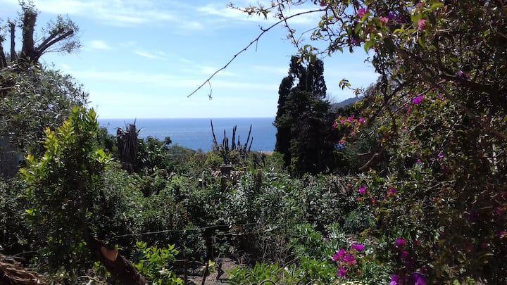 Immersion Sur Une îLe En Méditerranée - Parc national de Port-Cros