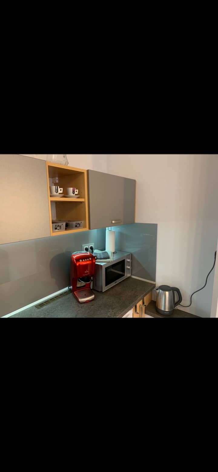 Modern Apartment In Center Of City. - Karlsbad