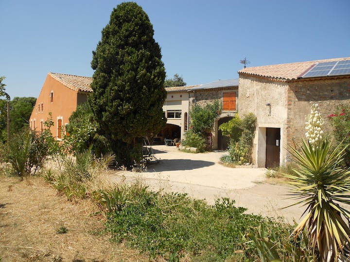 Gîte "Bayelle" Dans Un Domaine Viticole - Pézenas