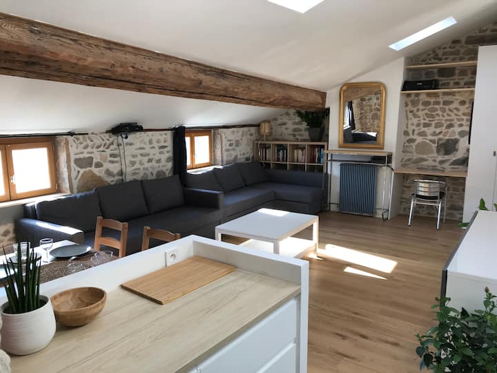 Appartement Cosy - Plein Centre - Home Cinéma - Lyon