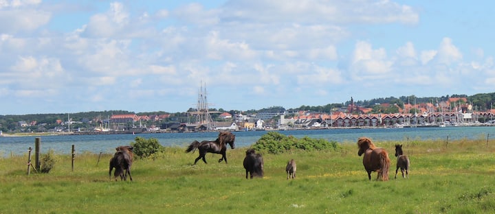 Sea View In Big, Beautiful Apartment On Horsefarm - Ebeltoft