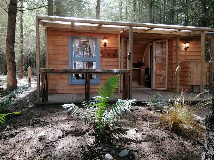 Forest Cabin Muscogen Woods - Mt Dobson Ski Area