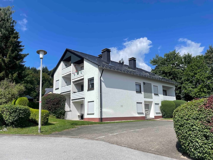Appartement Willingen/ Stryck Balkon Wiffi Netflix - Willingen