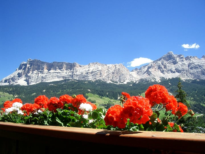 App. Sotbosch 2 Persone - Alta Badia