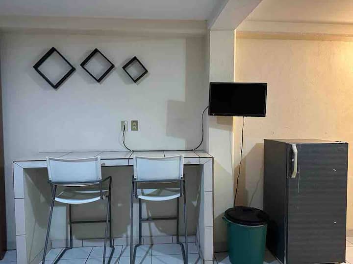 Céntrico Departamento - Ciudad Guzmán
