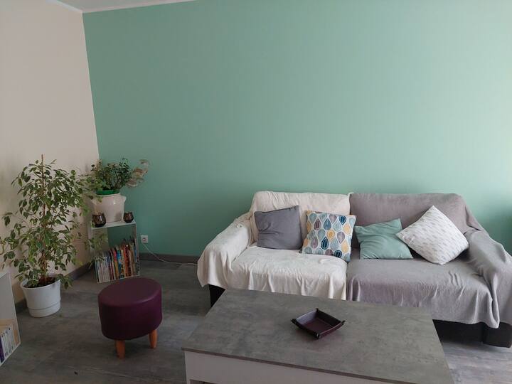 Appartement Avec Terrasse Chez Martine. - Millau