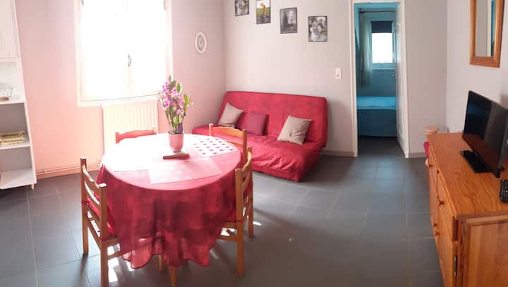 Appartement Aux Pieds Des Pyrénées, 3km De Lourdes - Argelès-Gazost