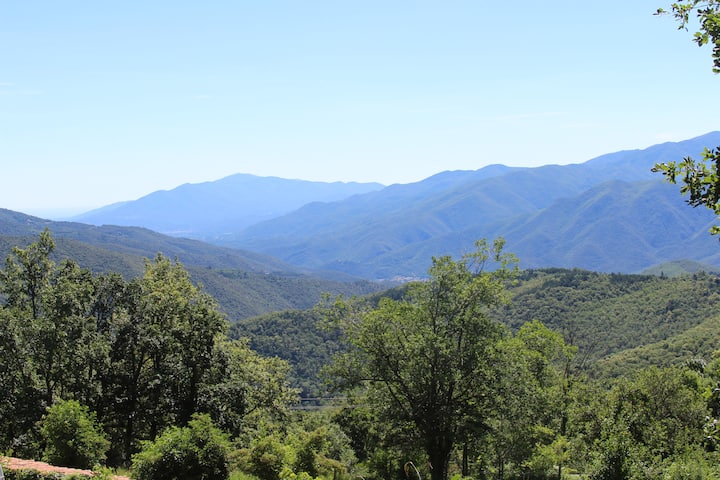 Cosy Apartment With Sauna, Pool & Mountain Views. - Arles-sur-Tech