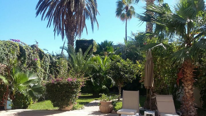 2 Br/1 Bath 5 Minutes Downtown & Medano Beach! - Cabo San Lucas