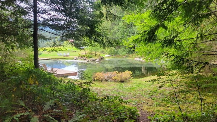 Pnw Retreat | Pond/fishing | Close To Onp & Hiking - Miller Peninsula State Park, Sequim