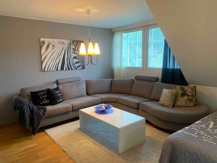 A Nice Appartment In A Single House - Seinäjoki