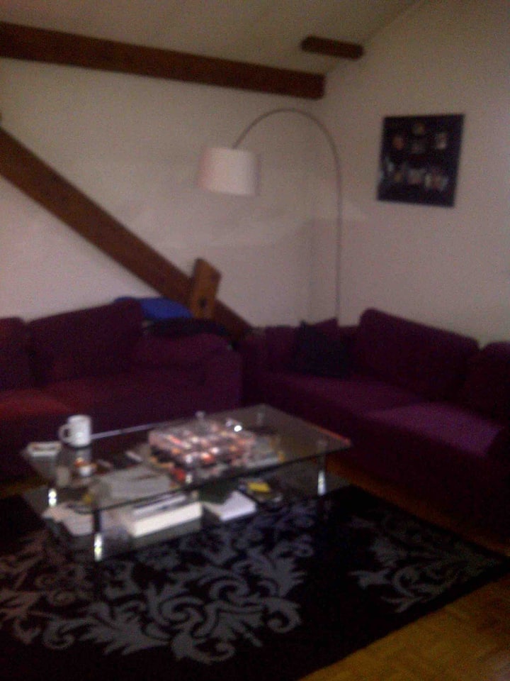 Apartment In The Center Of Geneva - Annemasse