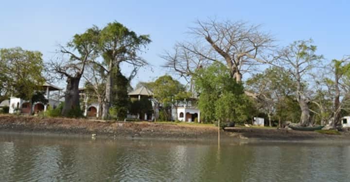 Sita Joyeh (Baobab Island) Holiday Resort - Gambia