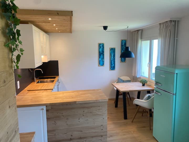 Studio Zentral In Lenzburg - Kanton Aargau
