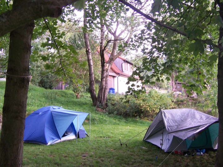 Zelten  Bei Der Aueralm In Der Idylle - Neubau
