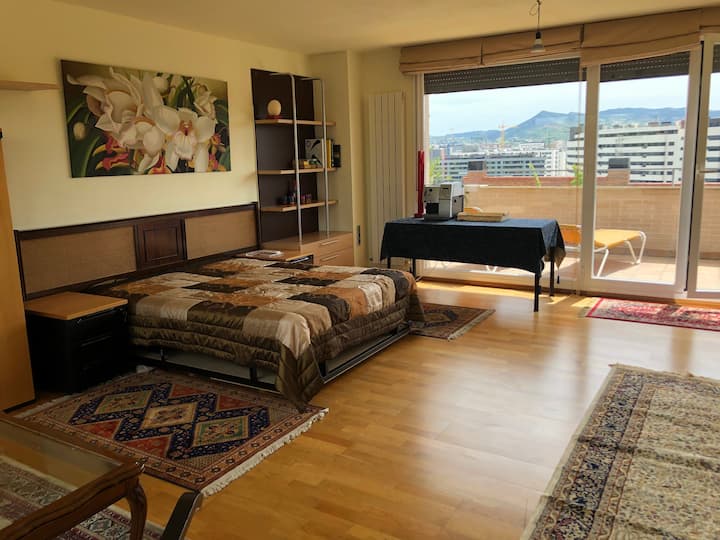 Loft Con Terraza Y Jardín - Pampelune