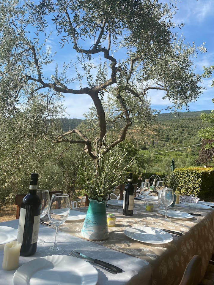 Casa Gialla, Cortona-sunsets In The Olive Grove - Italie