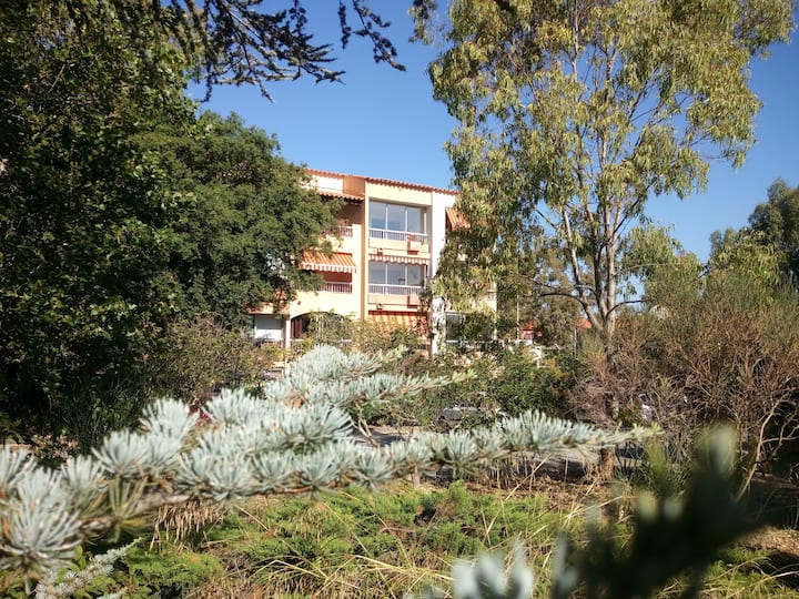 Studio 2 Personnes - Saint-Mandrier-sur-Mer