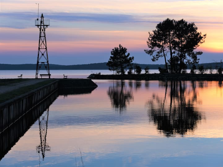 Les Phoenix Du Suet Au Bord Du Lac De Lacanau - Lacanau