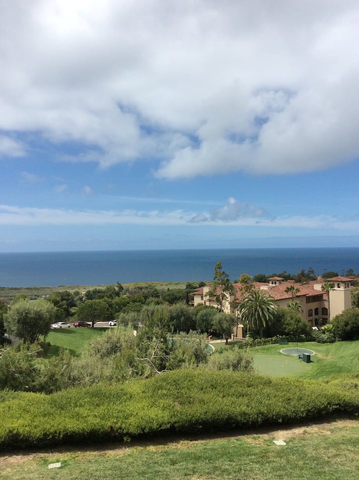 Newport Beach Marriott Superhost Summer Special! - 뉴포트비치