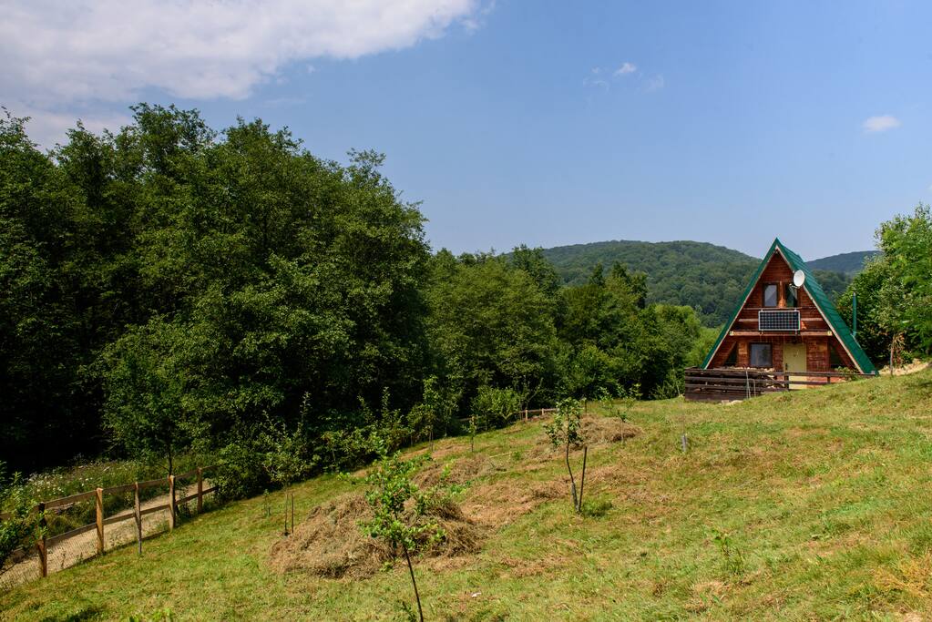 Cozy mountain retreat - Cabins for Rent in Șinca Nouă, BV, Romania