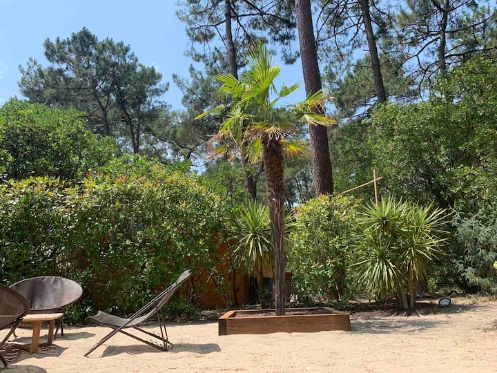 Grande Villa Au Cœur De La Pinède - Lacanau Océan