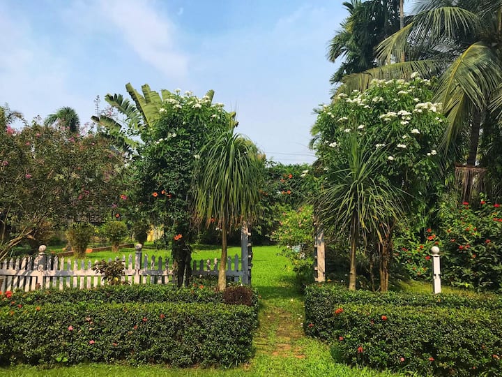 La Cassa Giardino - Calcutta