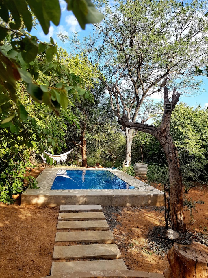 Bushbaby Haven | Self-catering House | Hwe - Hoedspruit