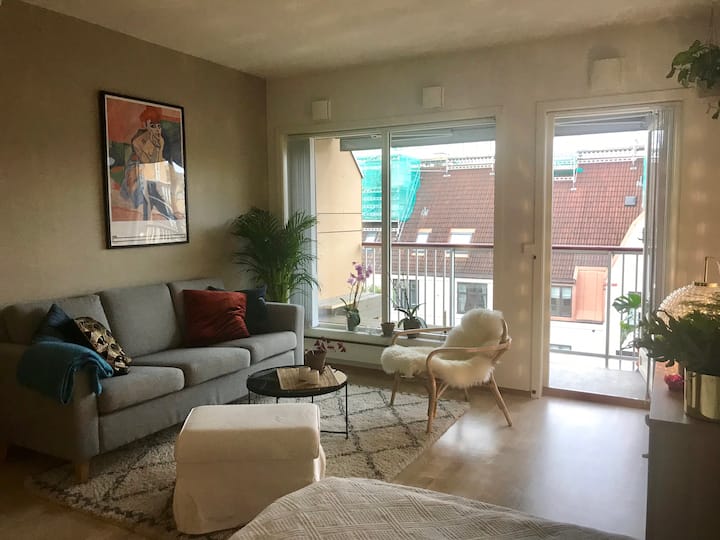 Charming And Luminous Flat With A View In Oslo - Oslo