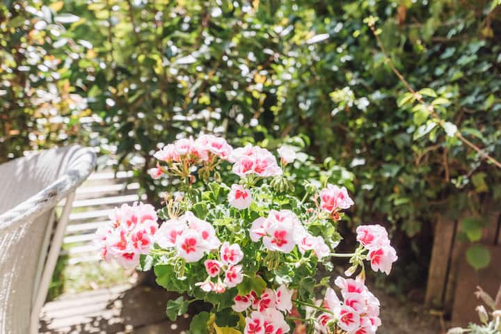 Business: Wo München Am Schönsten Ist-sep. Zugang - Grünwald