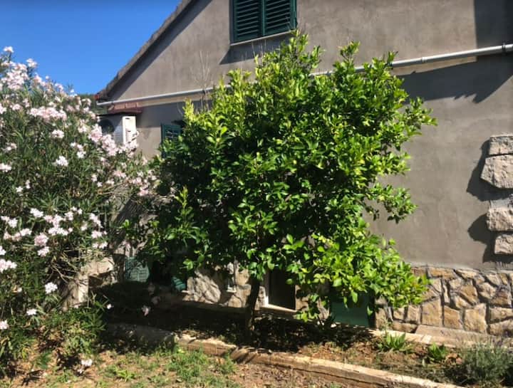 Appartment In Vela Luka (Island Of Korcula) - Vela Luka