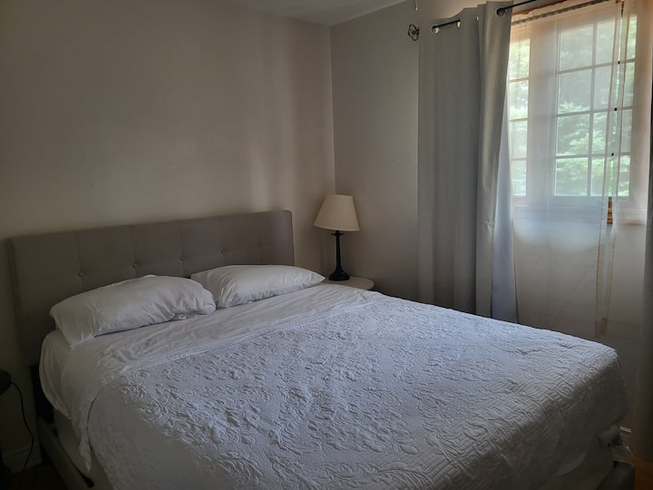 Cozy I - Kingston