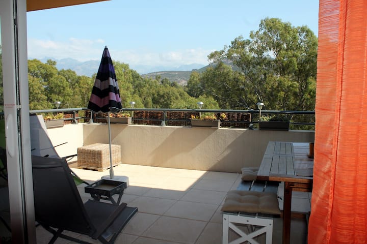 95m2  Duplex /Terrasse/plage à 200m - Calvi