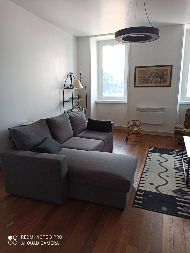 Bel Appartement De 100m2 Plein Centre Ville - Annonay