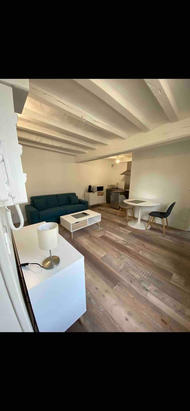 Avoine Studio Idéalement Placé - Avoine