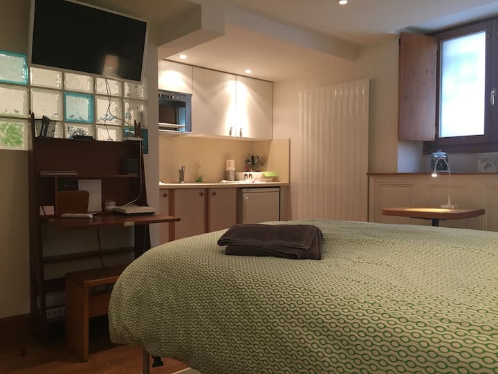 Studio Entresol, Eaux-vives, Centre-ville, Lac - Geneva